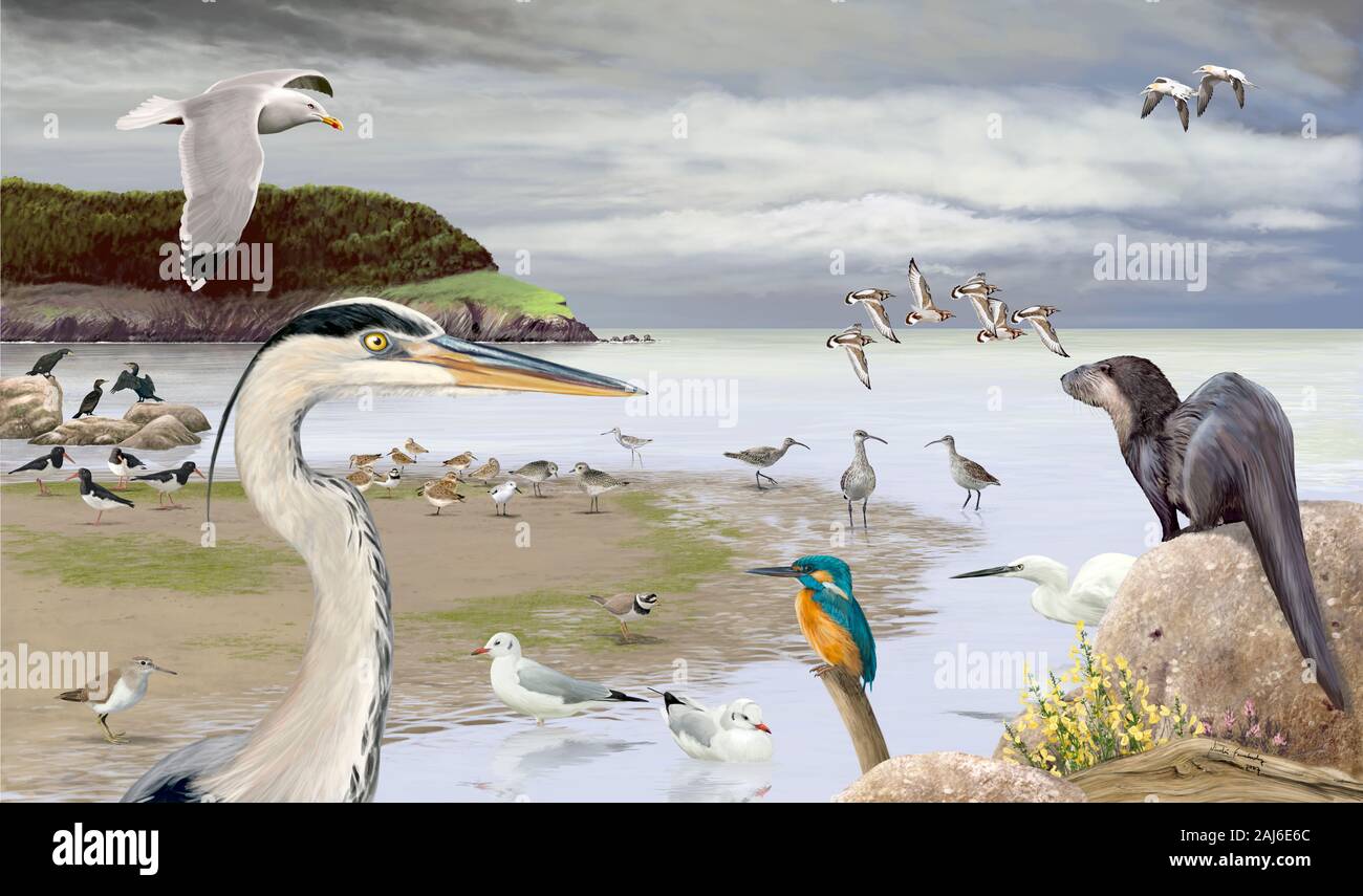 Ria galicienne Banque de photographies et d’images à haute résolution ...