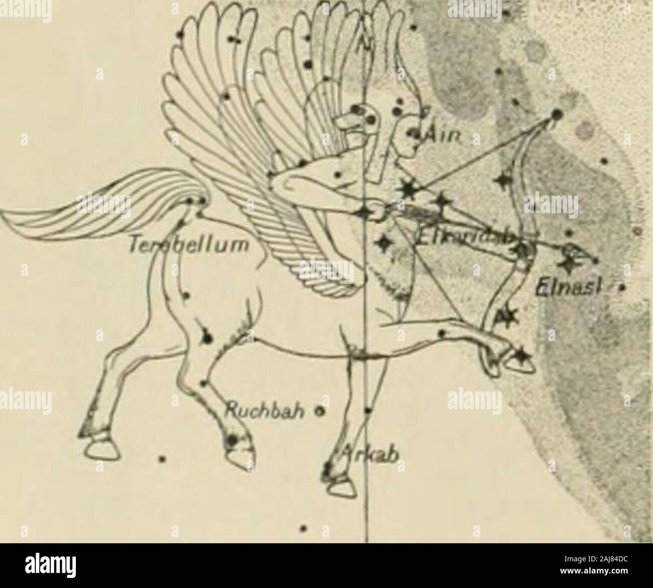 Centaure de la constellation Banque de photographies et d’images à ...