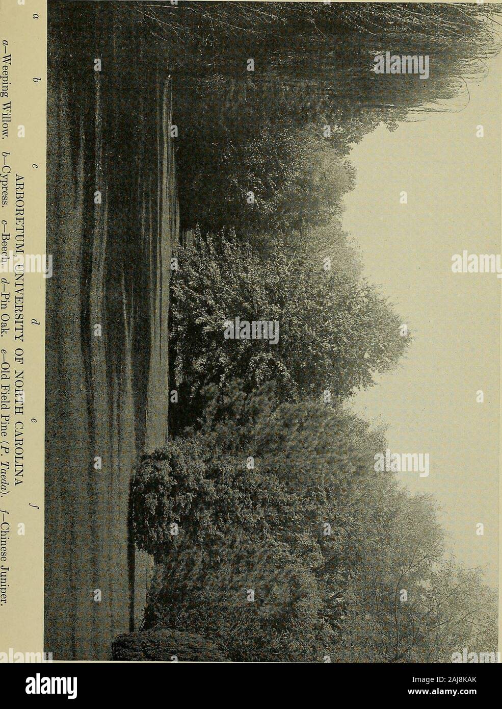 La conception et l'amélioration des cours d'école . SNG, pyramidale ...