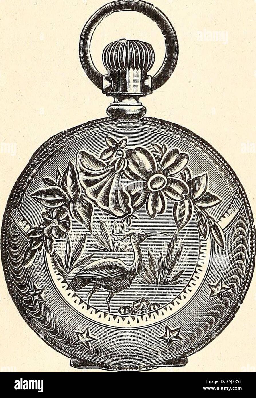 Dorothy solomon Banque de photographies et d’images à haute résolution ...