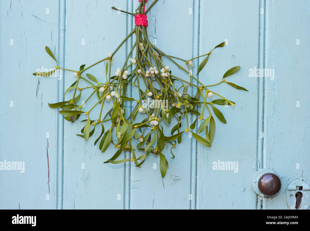 Gui noël Banque de photographies et d’images à haute résolution - Alamy