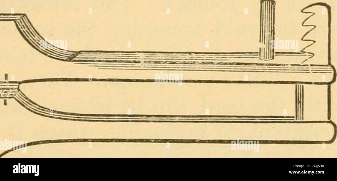 Testicule cheval Banque de photographies et d’images à haute résolution ...