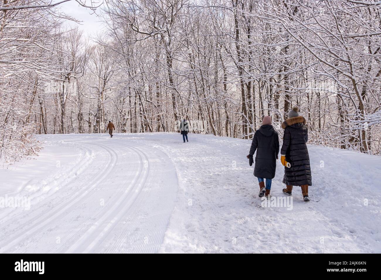 Parc du mont royal en hiver Banque de photographies et d’images à haute ...