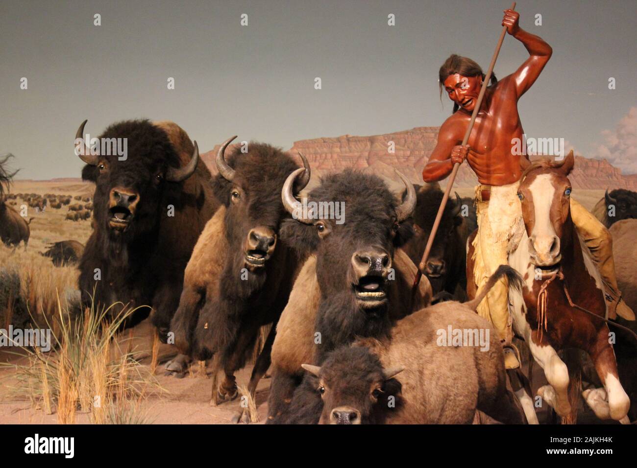 Chasse Au Bison Indien Banque d'image et photos - Alamy