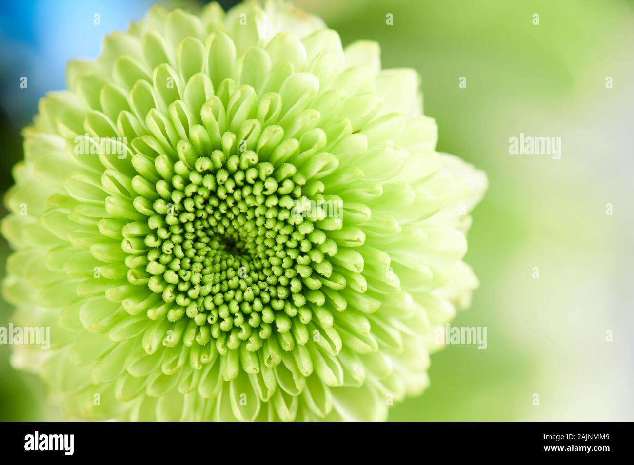 Rond vert Banque de photographies et d’images à haute résolution - Alamy