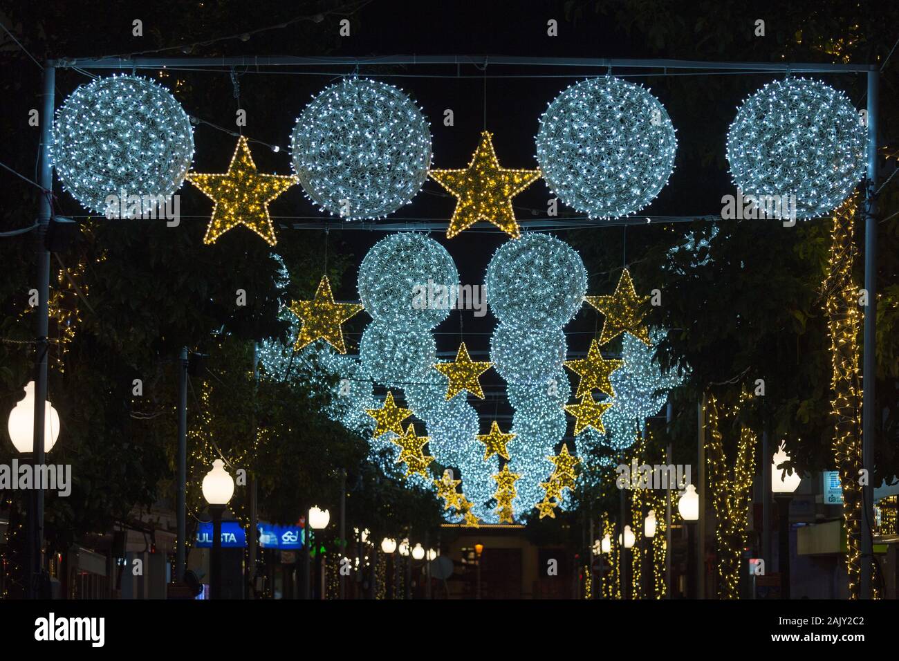FUNCHAL, PORTUGAL - Décembre 2019 Noël : rues de la ville de Funchal ...