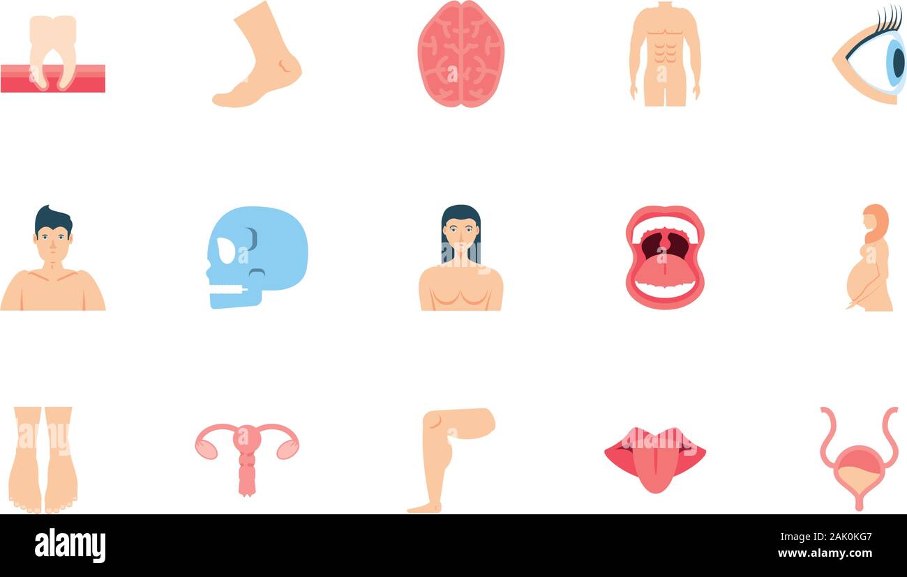 Icon Set design, corps humain personne personnes Biologie et anatomie ...