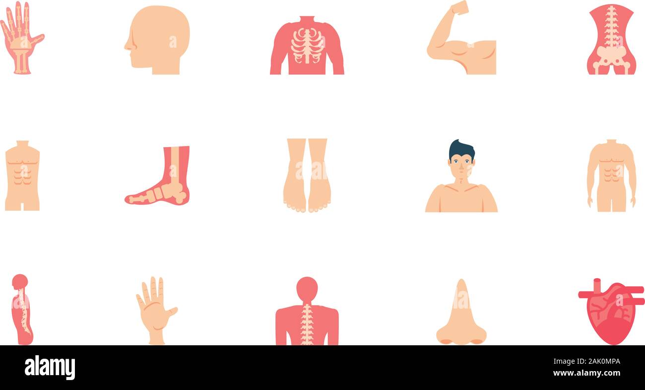 Icon Set design, corps humain personne personnes Biologie et anatomie ...