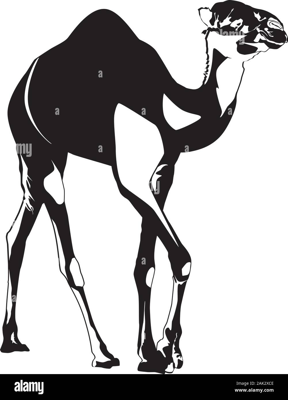 Chameau dubai symbole Banque de photographies et d’images à haute ...