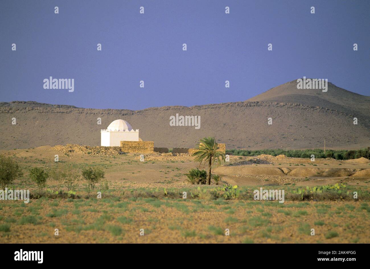 A marabout Banque de photographies et d’images à haute résolution - Alamy