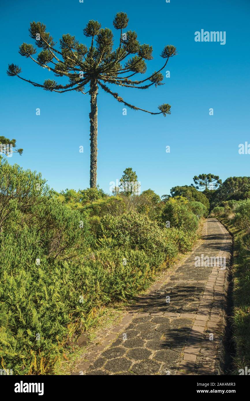 Pays Bucolique Banque d'image et photos - Alamy