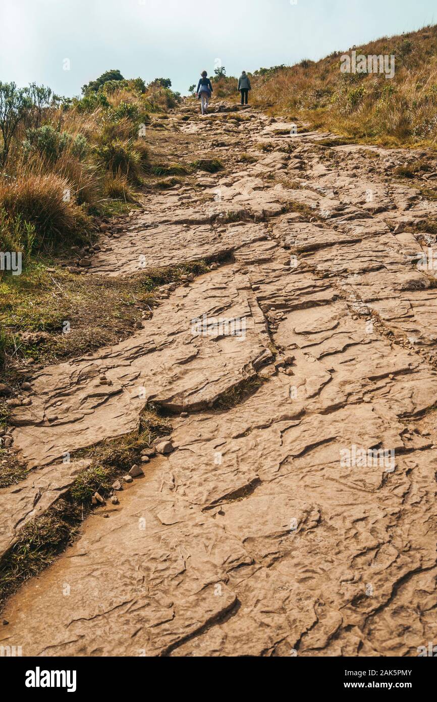 Sentier rocheux avec des buissons secs et personnes qui montaient la ...