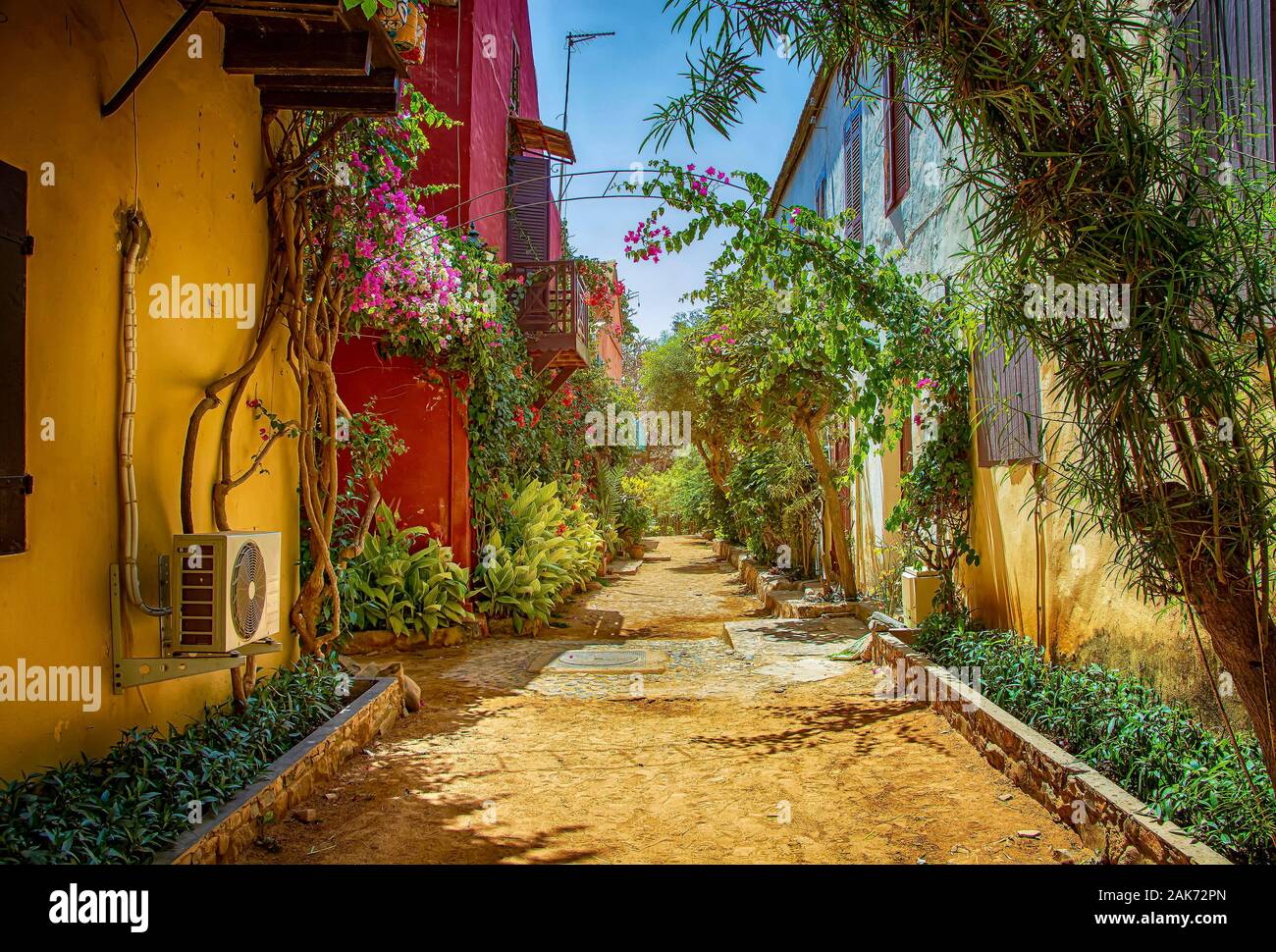 Rue sur l'île de Gorée, au Sénégal, en Afrique. Ils sont envahis par ...