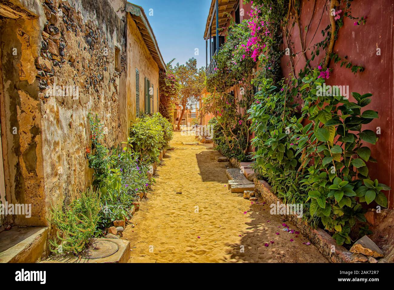 Rue sur l'île de Gorée, au Sénégal, en Afrique. Ils sont envahis par ...