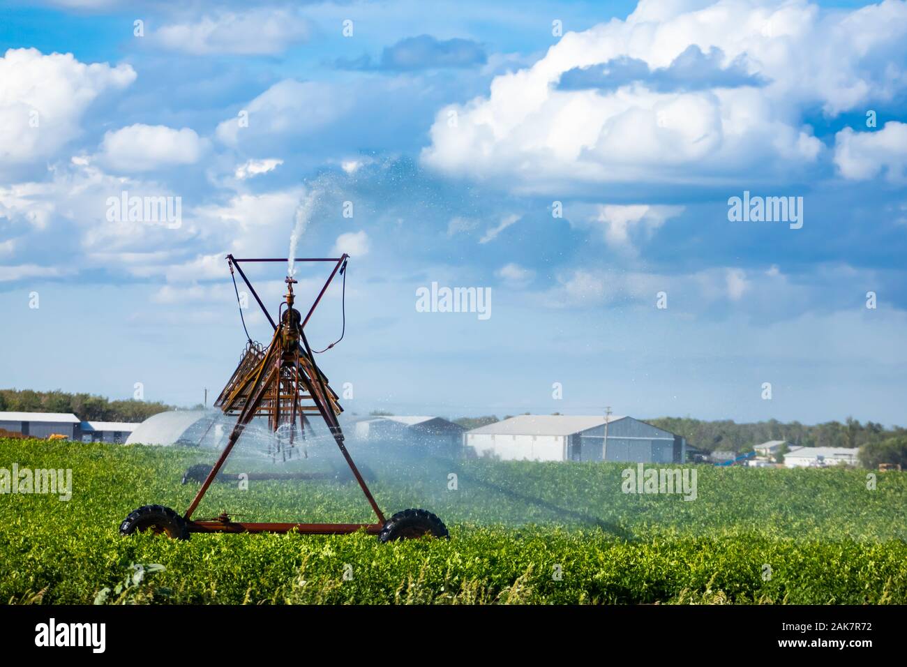 Irrigation par pivot central Banque de photographies et d’images à ...