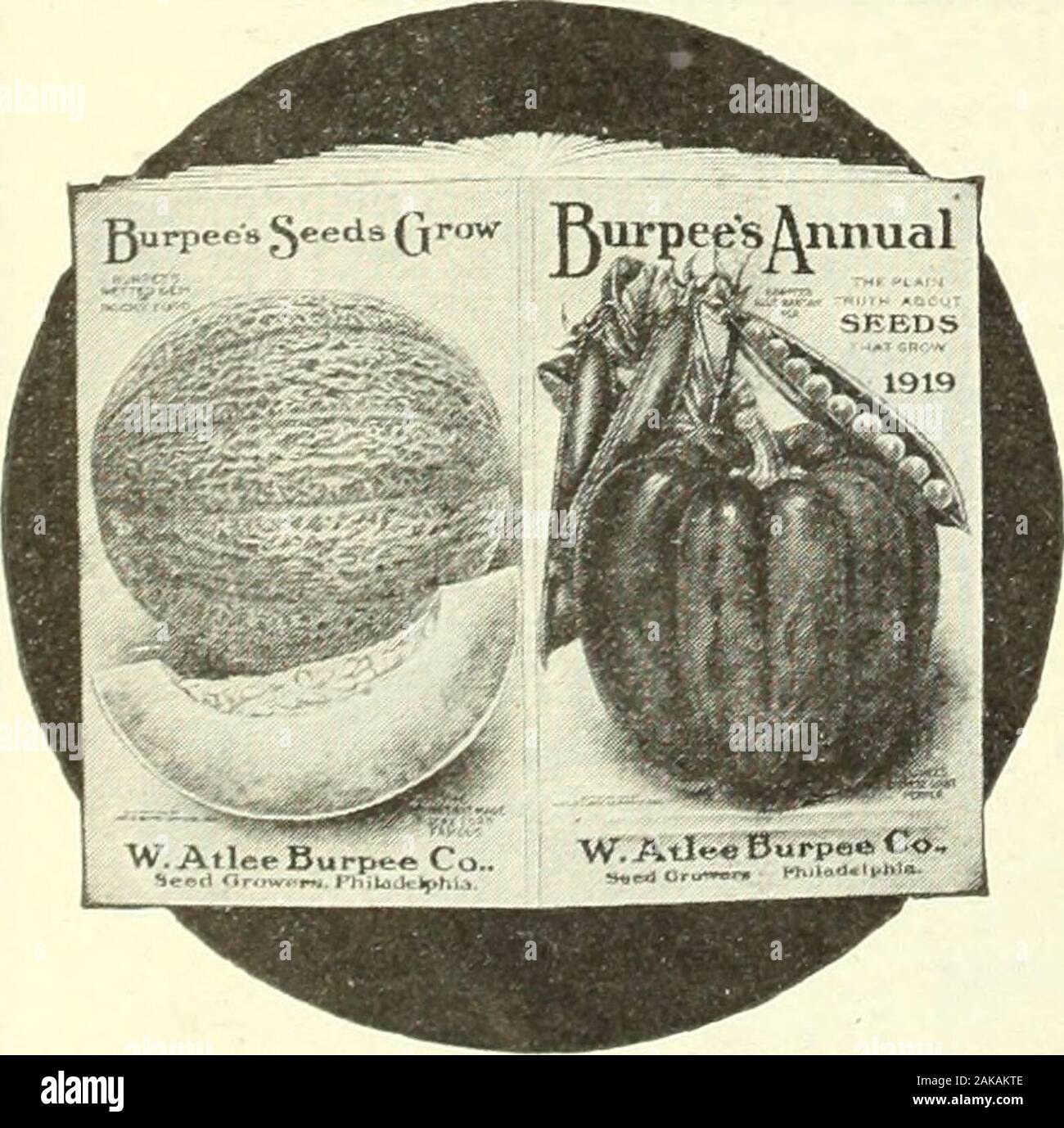 Burpee delicious Banque de photographies et d’images à haute résolution ...