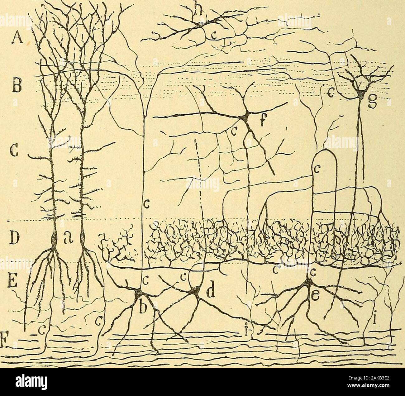Zone intime Banque de photographies et d’images à haute résolution - Alamy