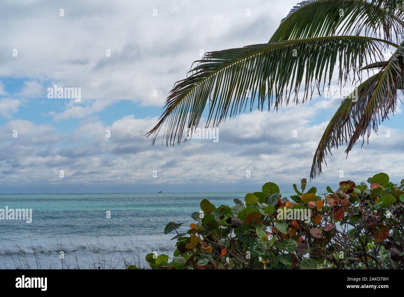 Oceanic view Banque de photographies et d’images à haute résolution - Alamy