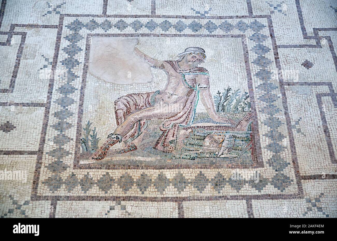 Mosaïque de narcisse Banque de photographies et d’images à haute résolution - Alamy