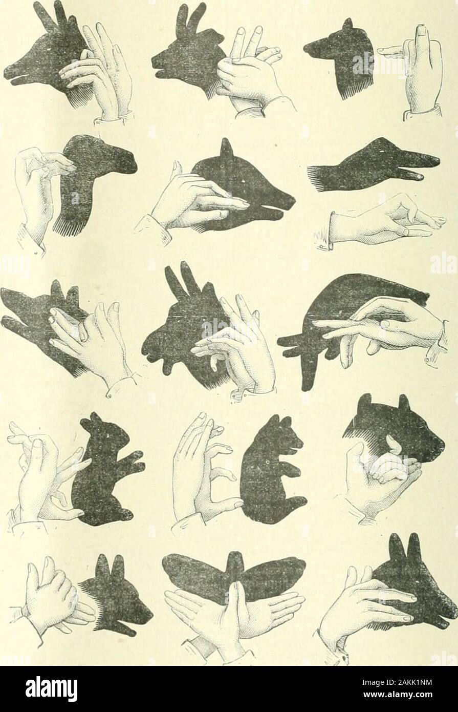 Ombres humaines Banque de photographies et d’images à haute résolution ...