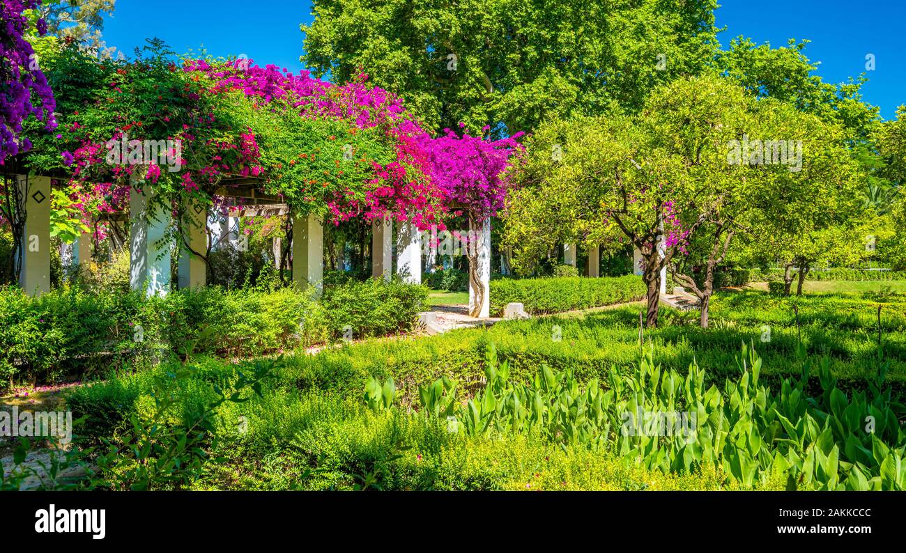 Le Parque de Maria Luisa (Parc Maria Luisa), célèbre parc public de ...