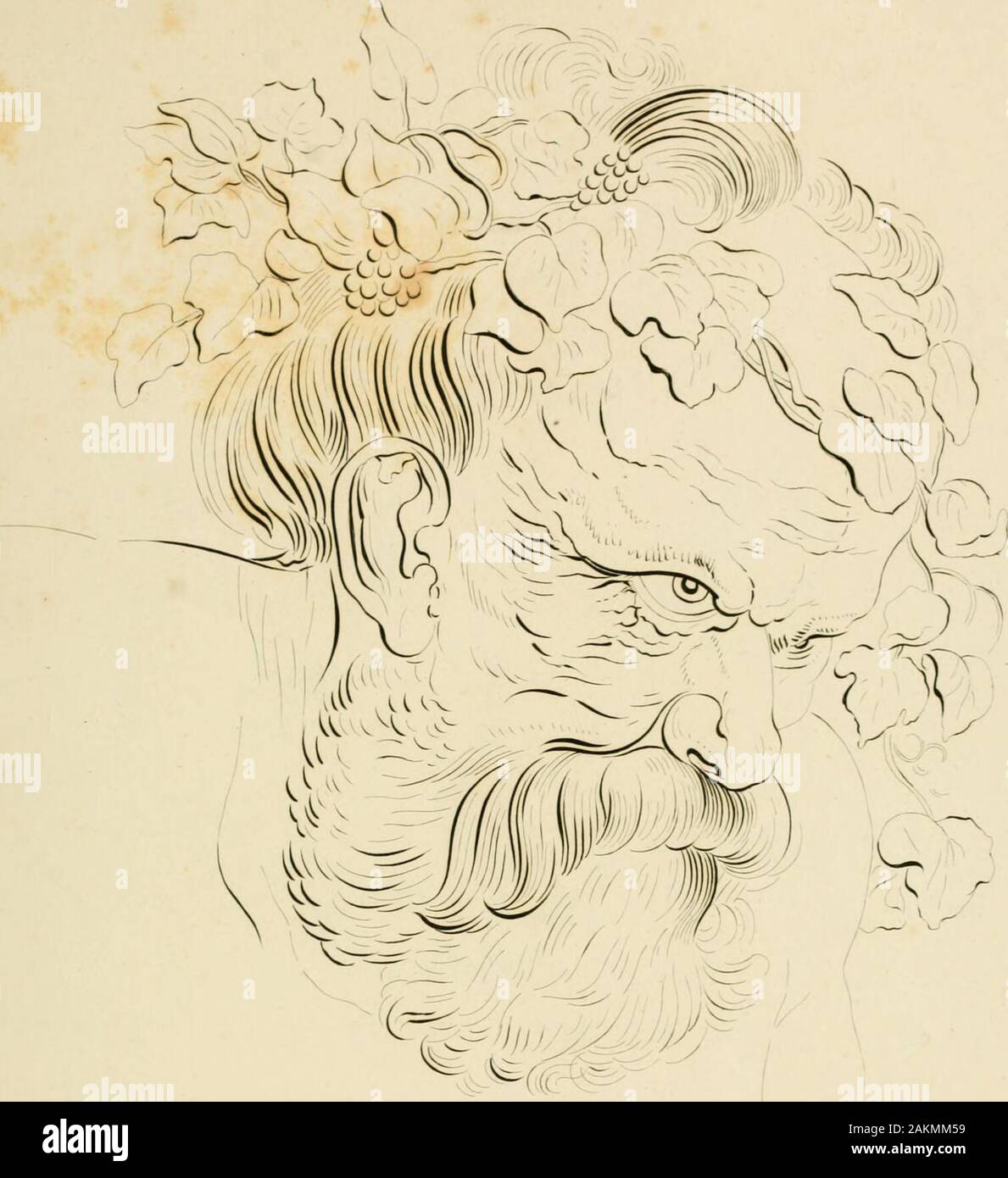 Croquis Physiognomical par Lavater . fffJ//r,.de/f>n.m Ai>v//.m./on ...