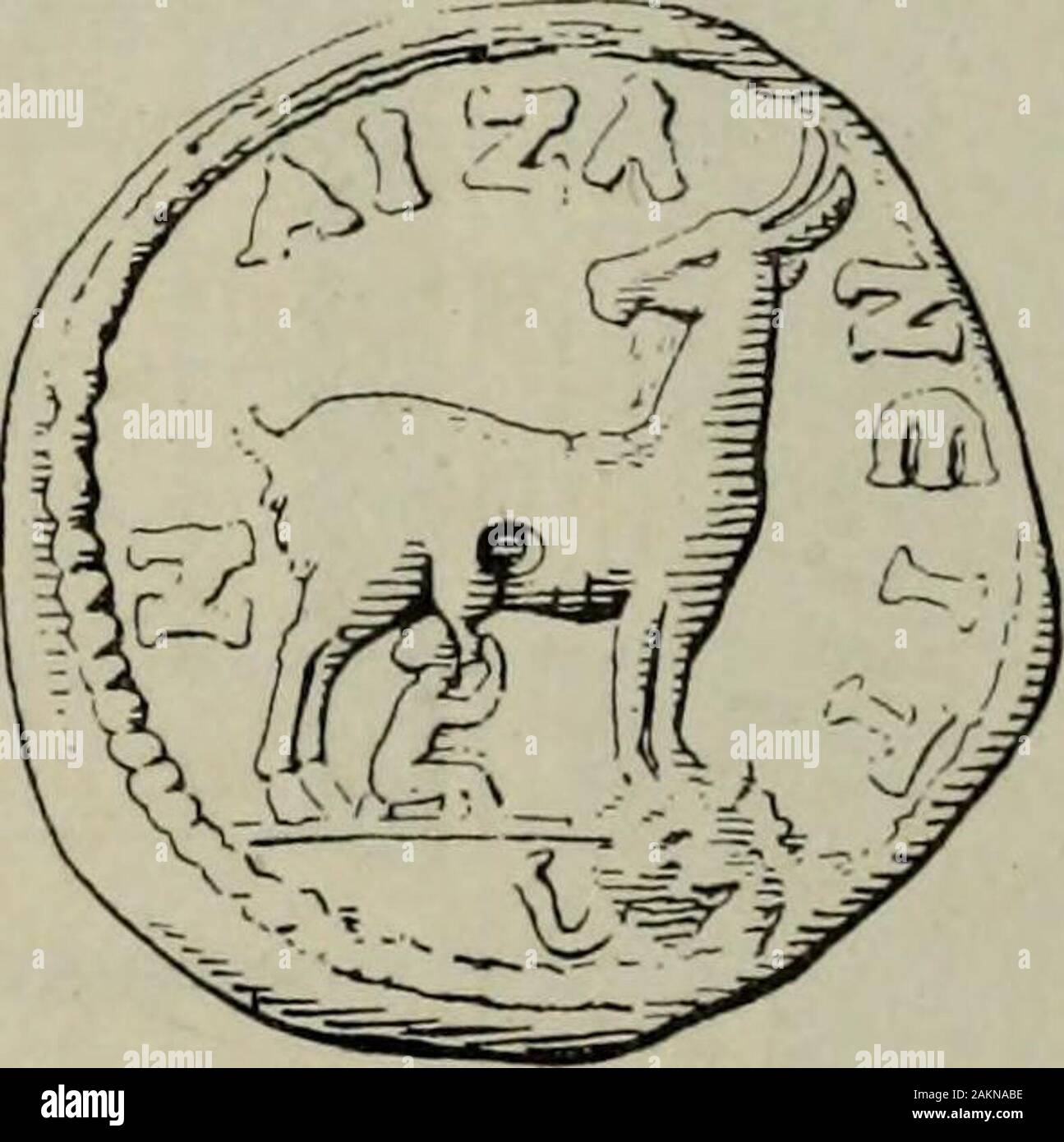 La chèvre de zeus Banque de photographies et d’images à haute ...