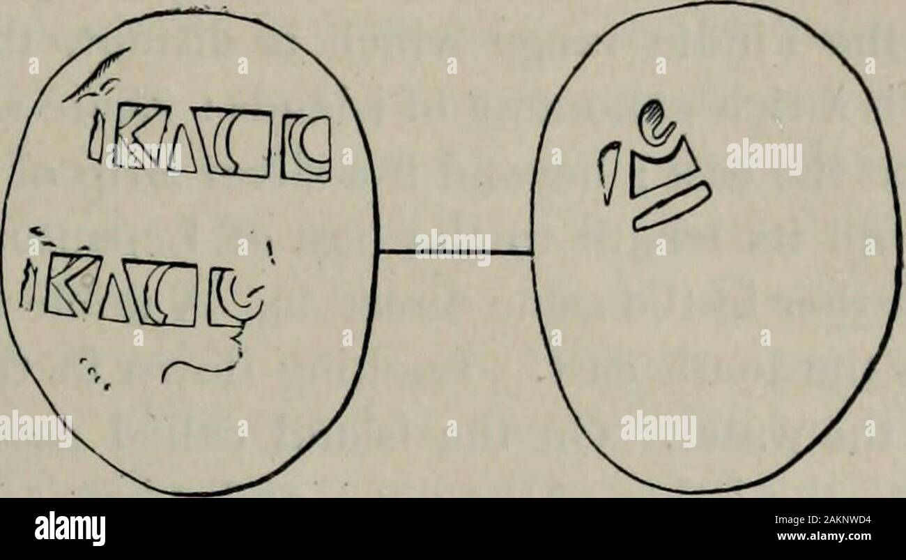 Zeus kasios Banque de photographies et d’images à haute résolution - Alamy