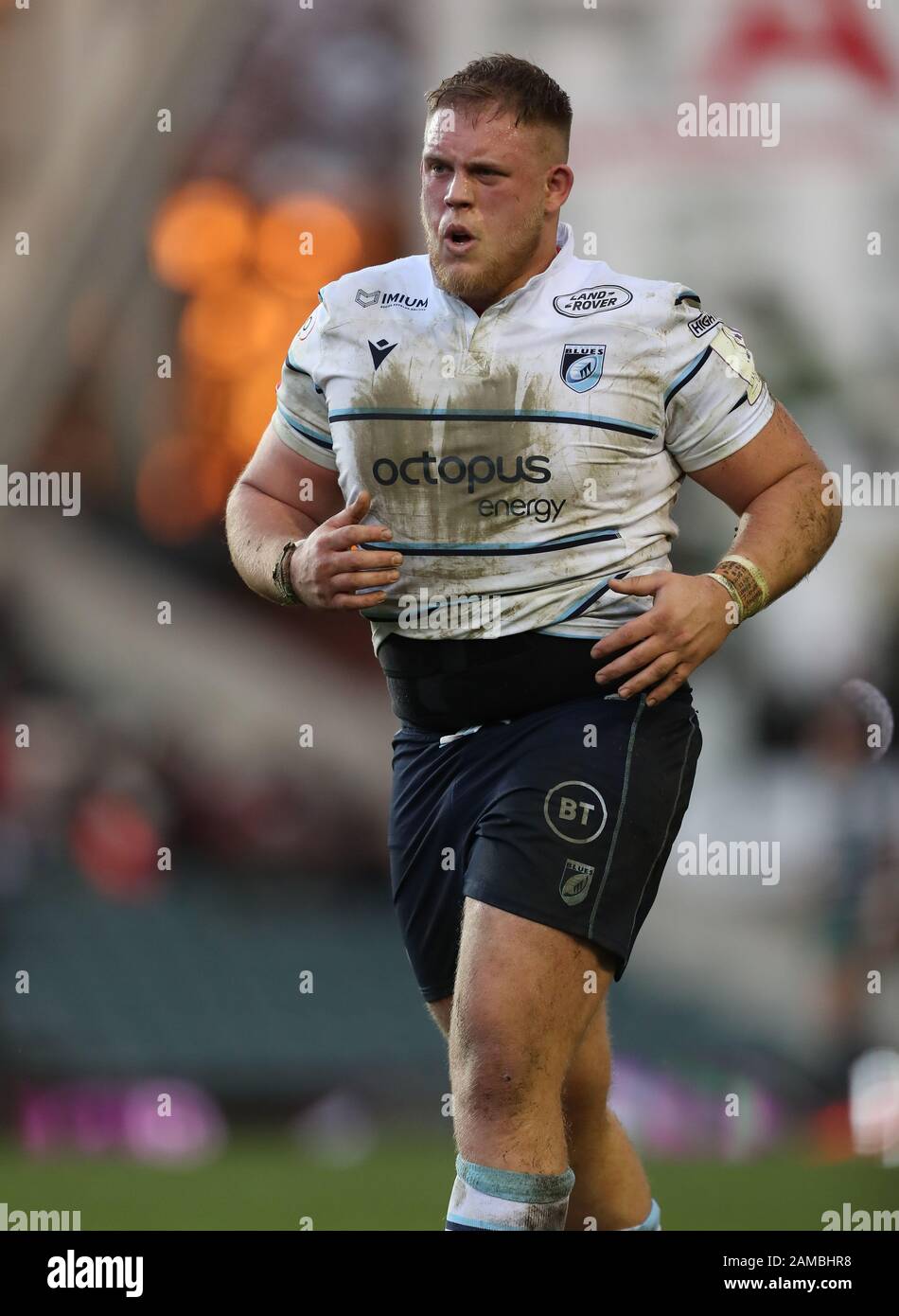 Corey domachowski Banque de photographies et d’images à haute ...