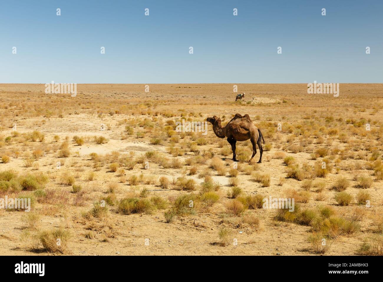 Les steppes du kazakhstan Banque de photographies et d’images à haute ...