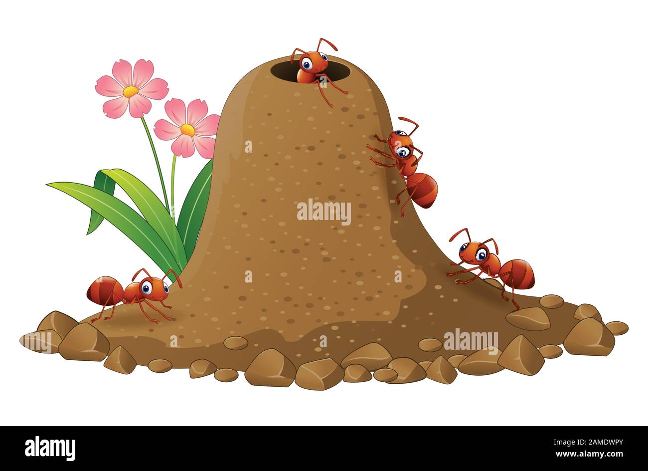 Flower ants Banque d'images vectorielles - Alamy