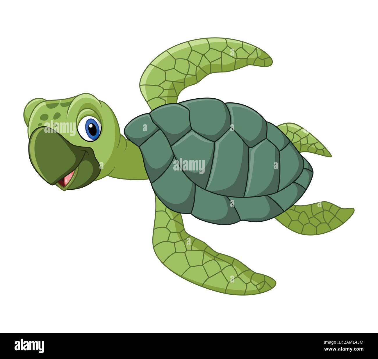 Caricatura de tortuga Banque de photographies et d’images à haute ...