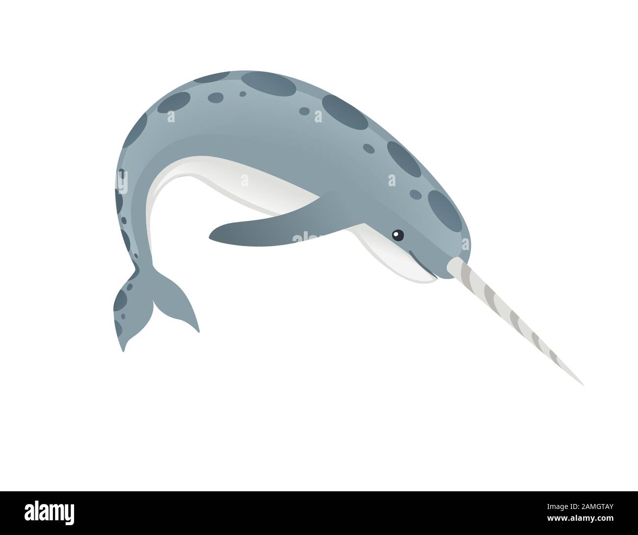 Baleine Grise Narval Monodon Monoceros Baleine Crantée Avec Tusk