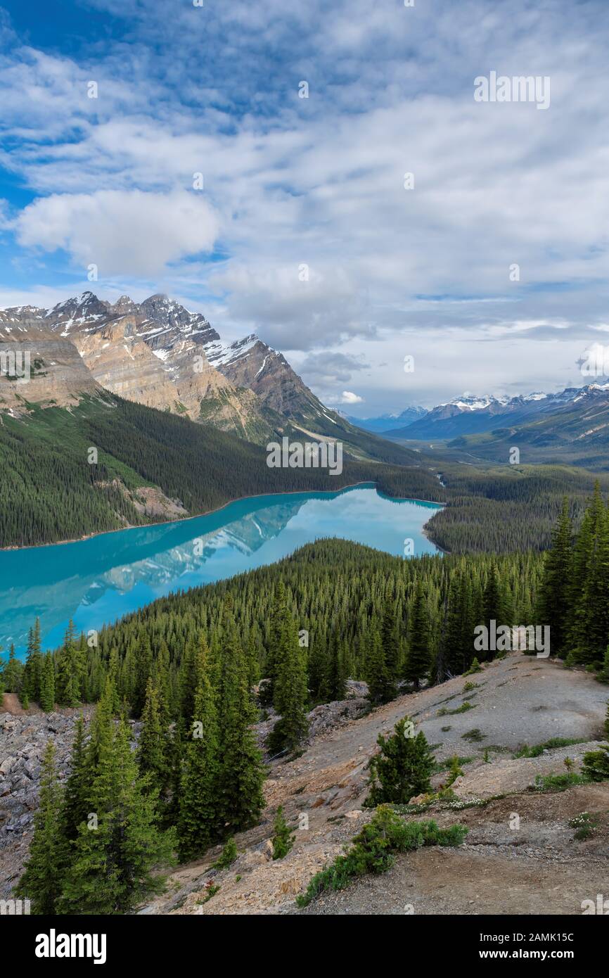 Lac Peyto Banff Banque d'image et photos - Alamy