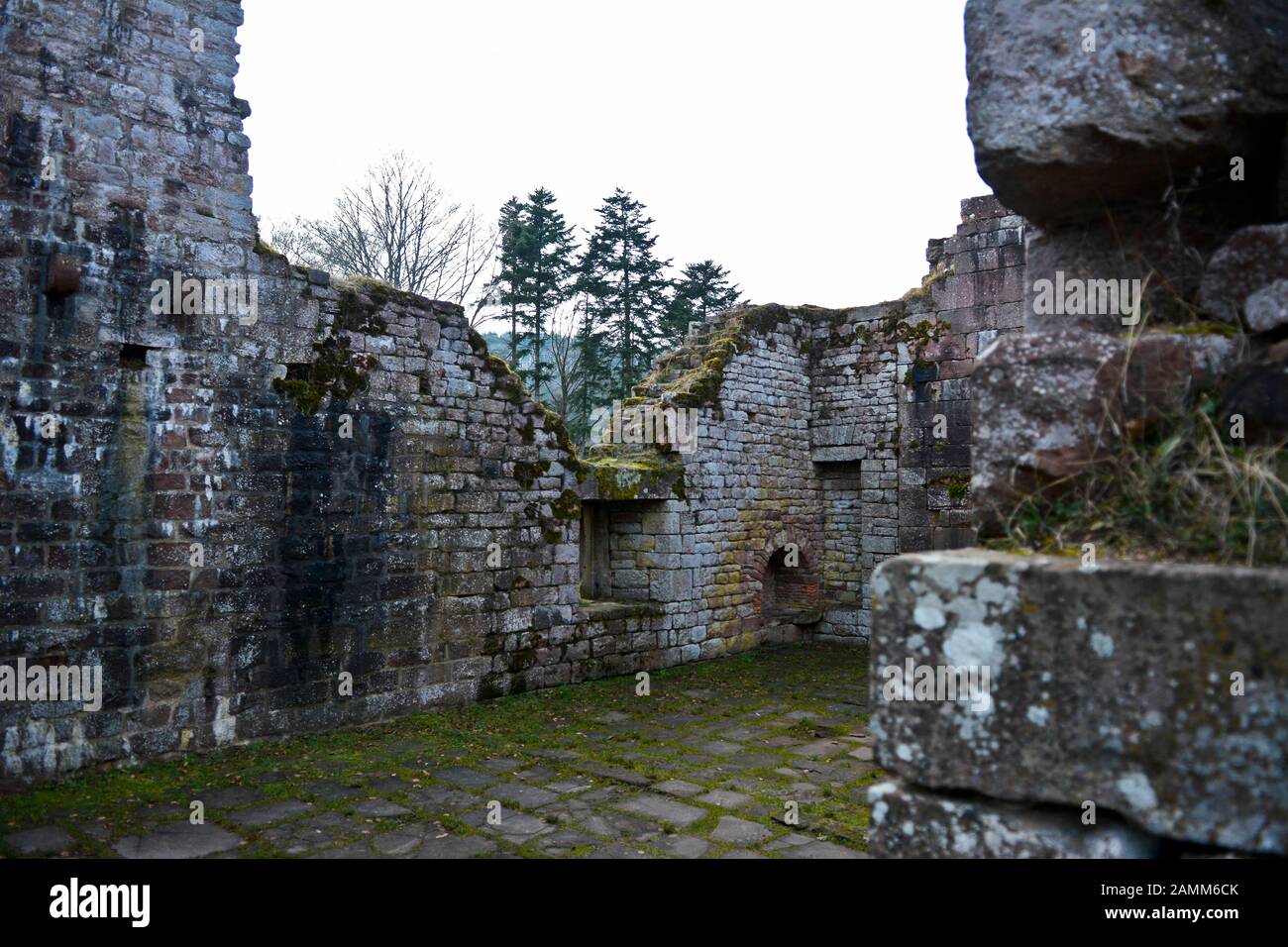 Wildenberg castle Banque de photographies et d’images à haute ...
