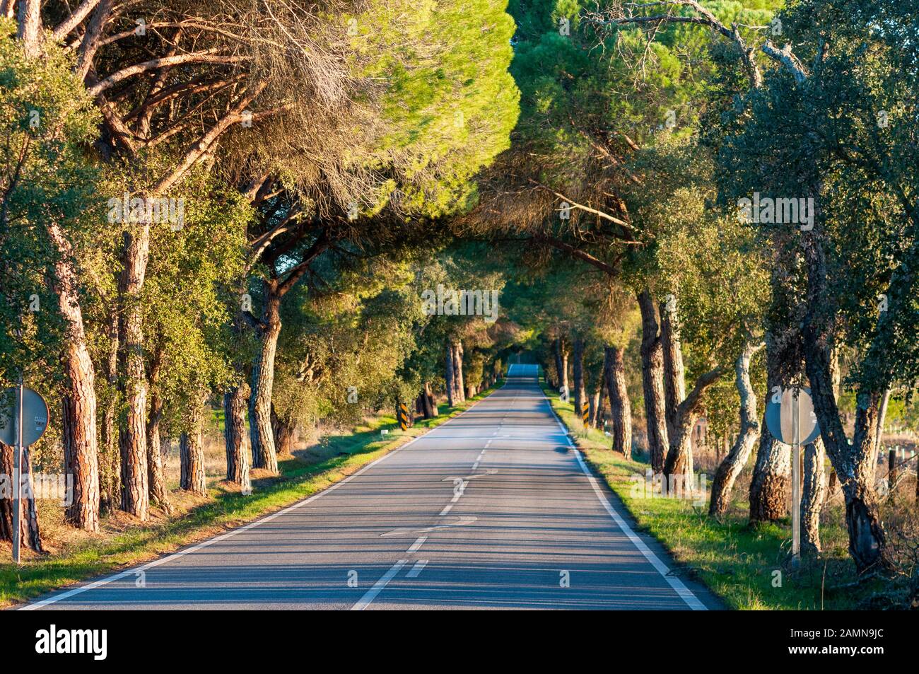 N2 portugal Banque de photographies et d’images à haute résolution - Alamy