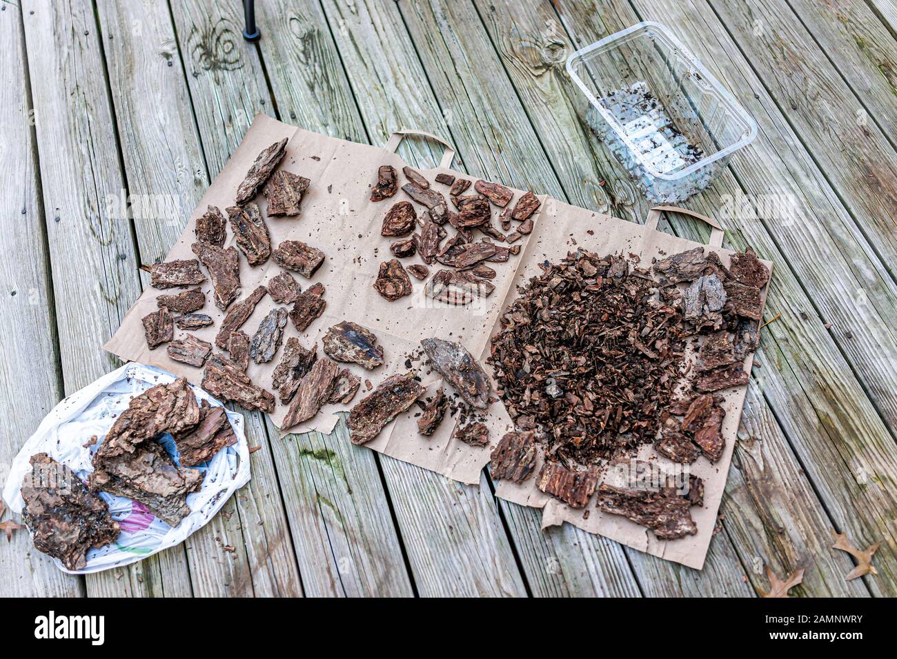 Paillage avec des copeaux de bois Banque de photographies et d’images à ...