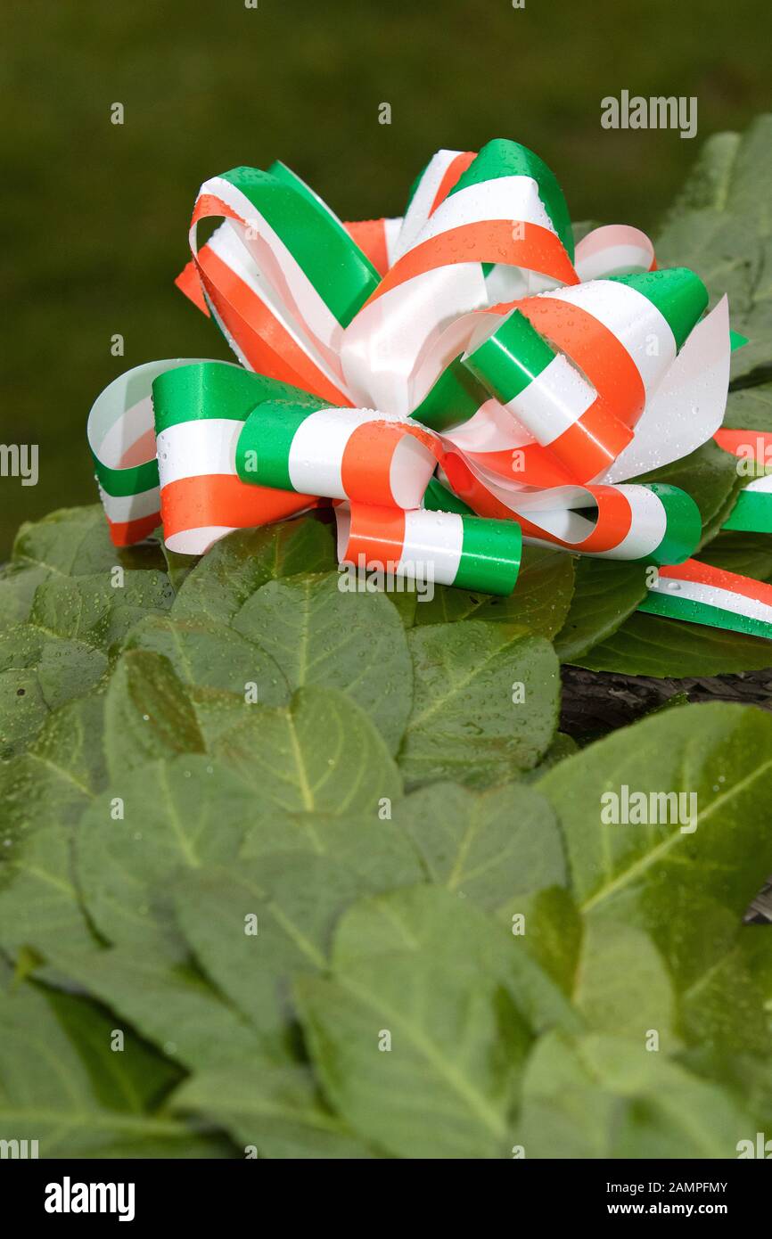 Laurier Fleuri Tricolore