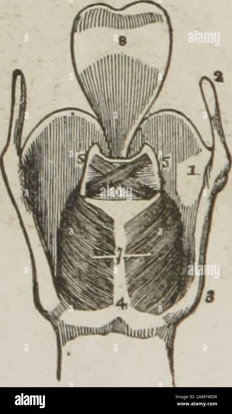 Anatomie et physiologie : conçu pour les académies et les familles . ol ...