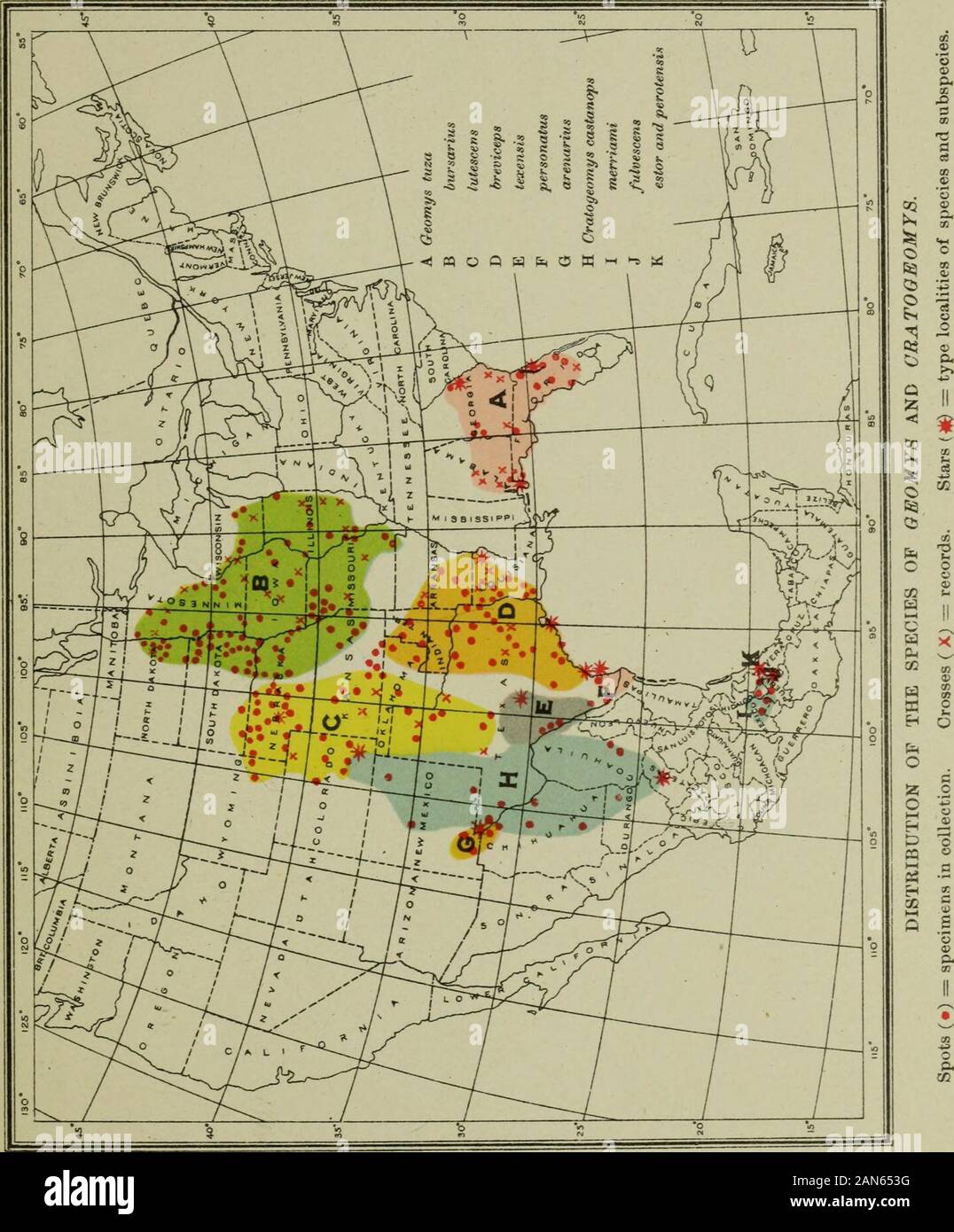 Arbres de gopher Banque de photographies et d’images à haute résolution ...