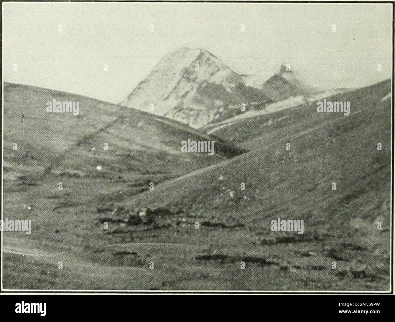 Minerai de cassitérite Banque de photographies et d’images à haute ...
