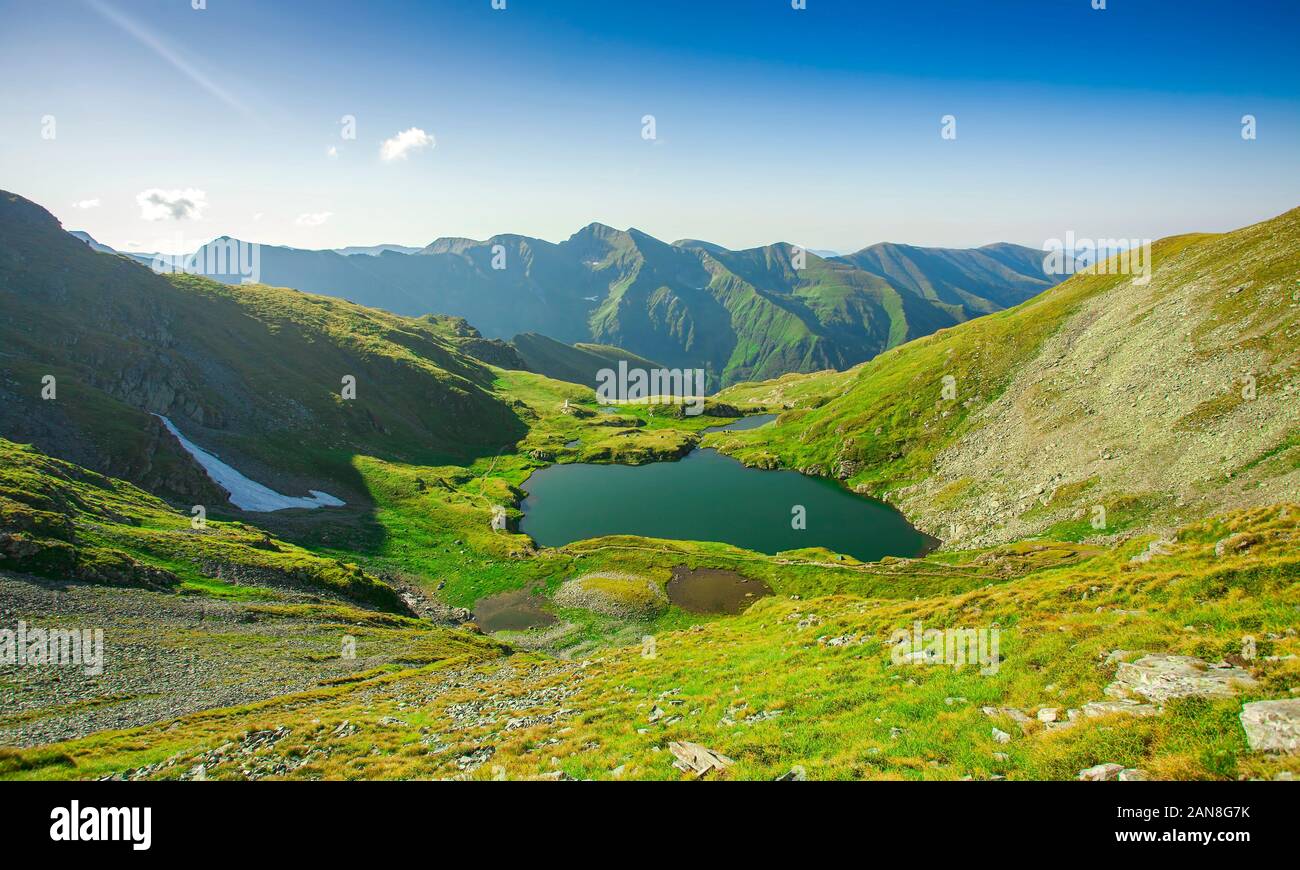 Lac capra Banque de photographies et d’images à haute résolution - Alamy