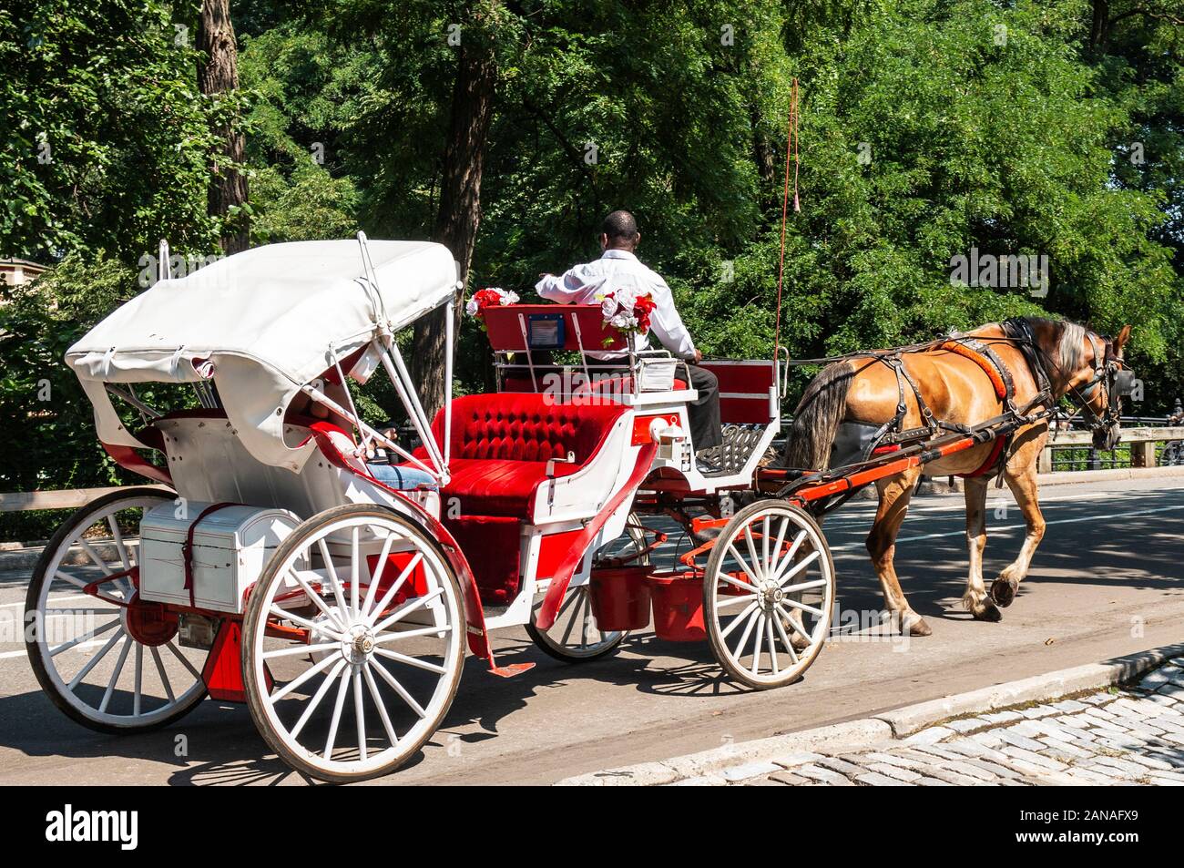 Touristes en calèche avec cheval brun Banque de photographies et d ...