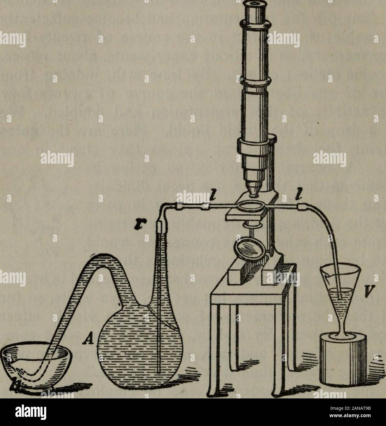 Louis pasteur microscope Banque de photographies et d’images à haute ...