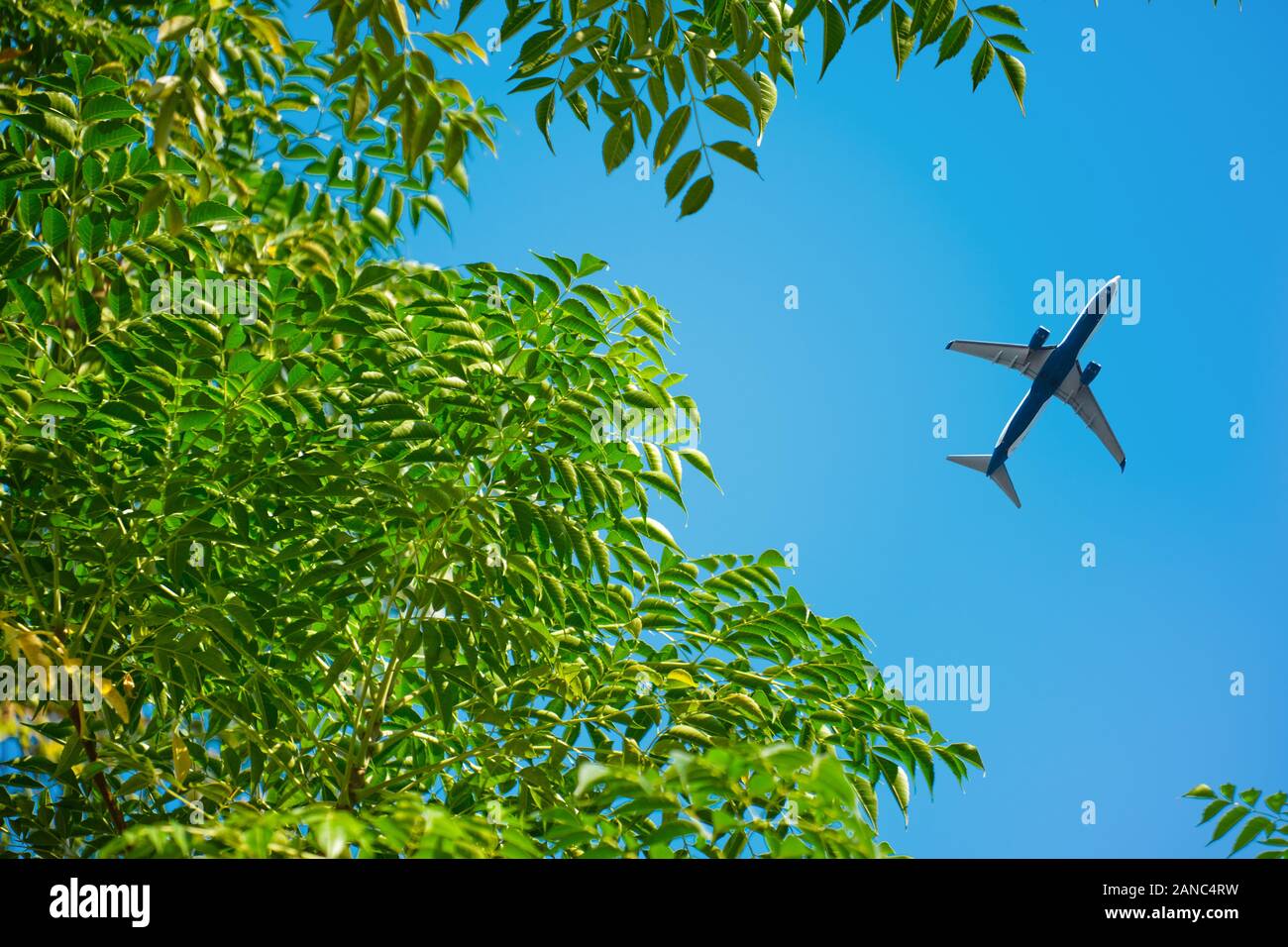 Avion survolant la forêt Banque de photographies et d’images à haute ...