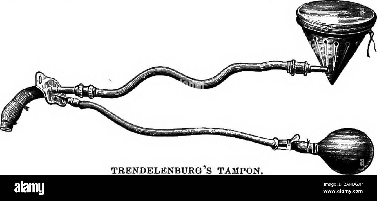 T communis Banque d'images détourées - Alamy