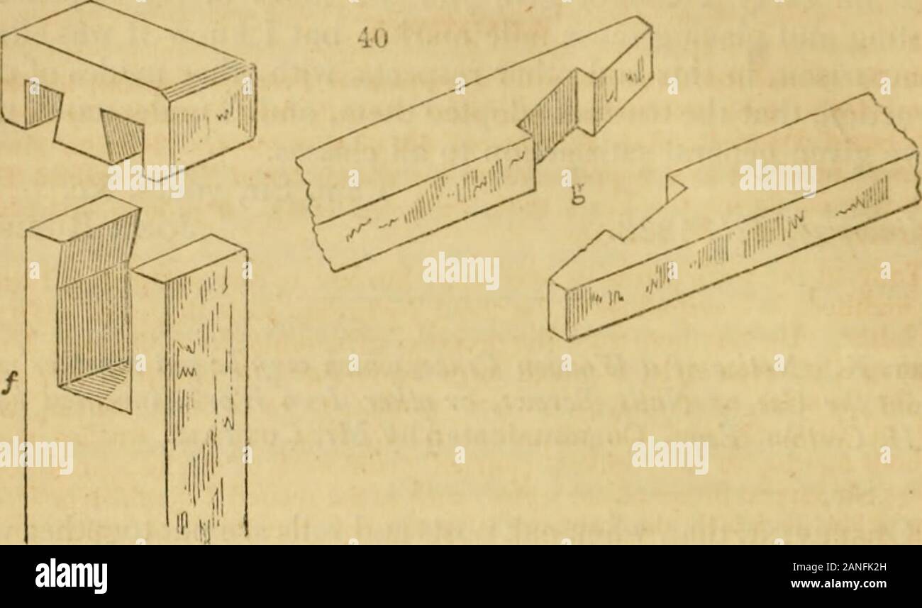 Tenon inférieur Banque de photographies et d’images à haute résolution ...