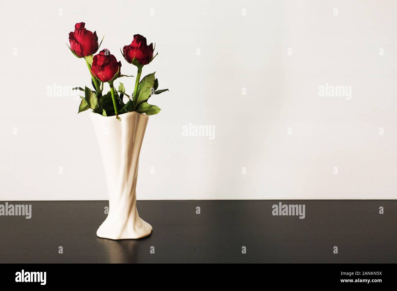 Signification de roses Banque de photographies et d’images à haute ...