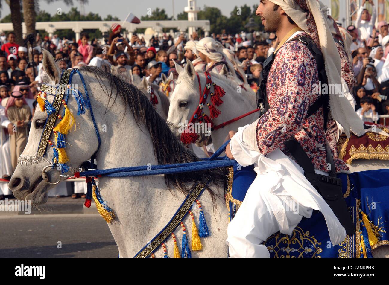 Doha, Qatar- Fête nationale, défilé de chevaux sur la Corniche Photo ...