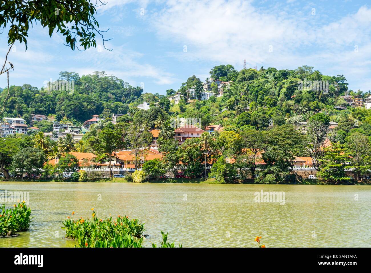 Le lac de Kandy ou Kiri Muhuda ou la mer de lait, un lac artificiel au ...